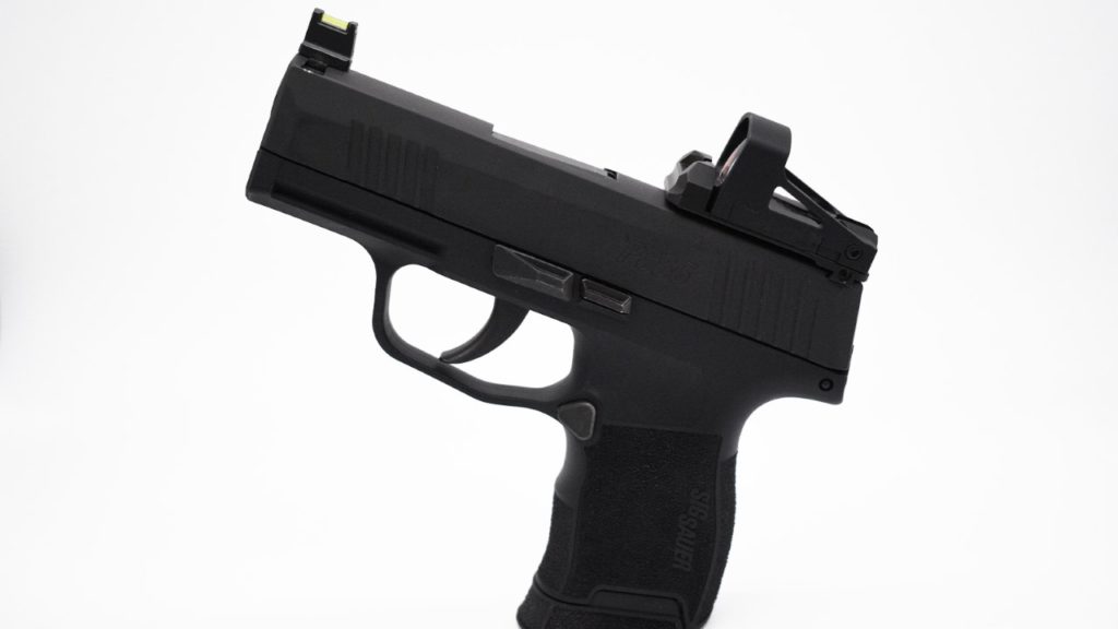 DOVE Mounting Solutions for SIG SAUER P365 MODEL RMSc Slide Sight ...